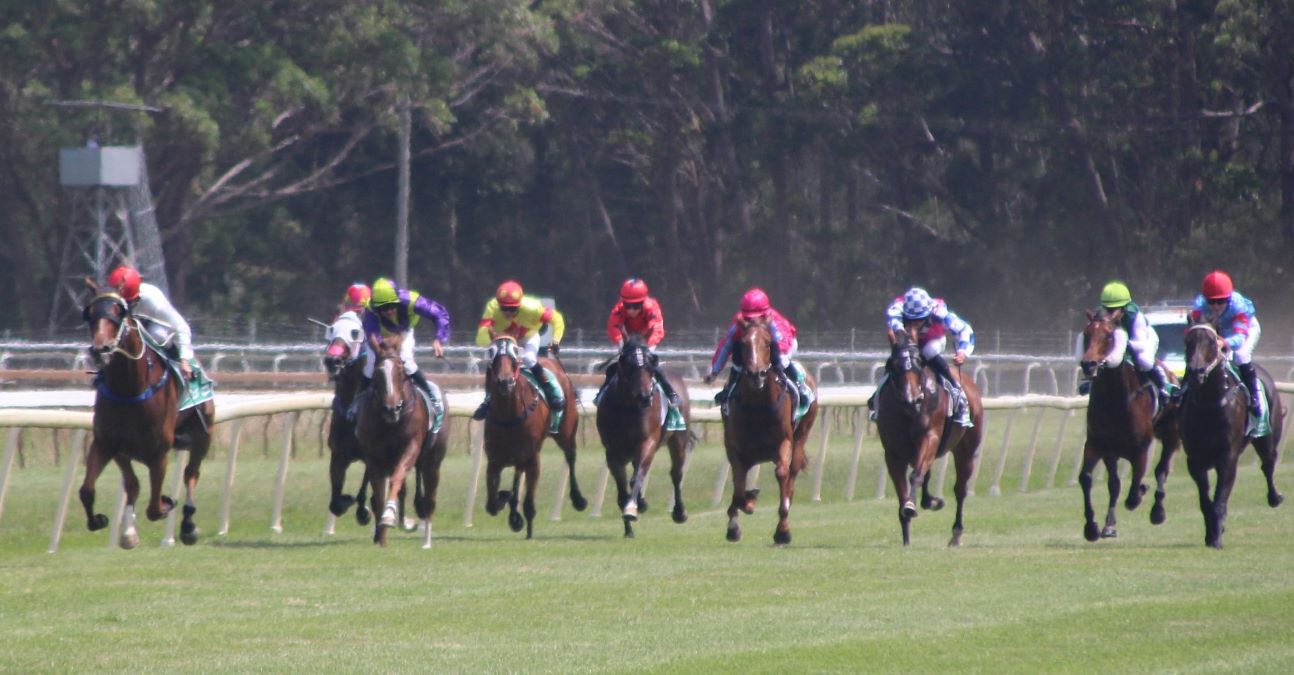 Narooma Cup Race Day Sunday 17th December - Moruya Mail