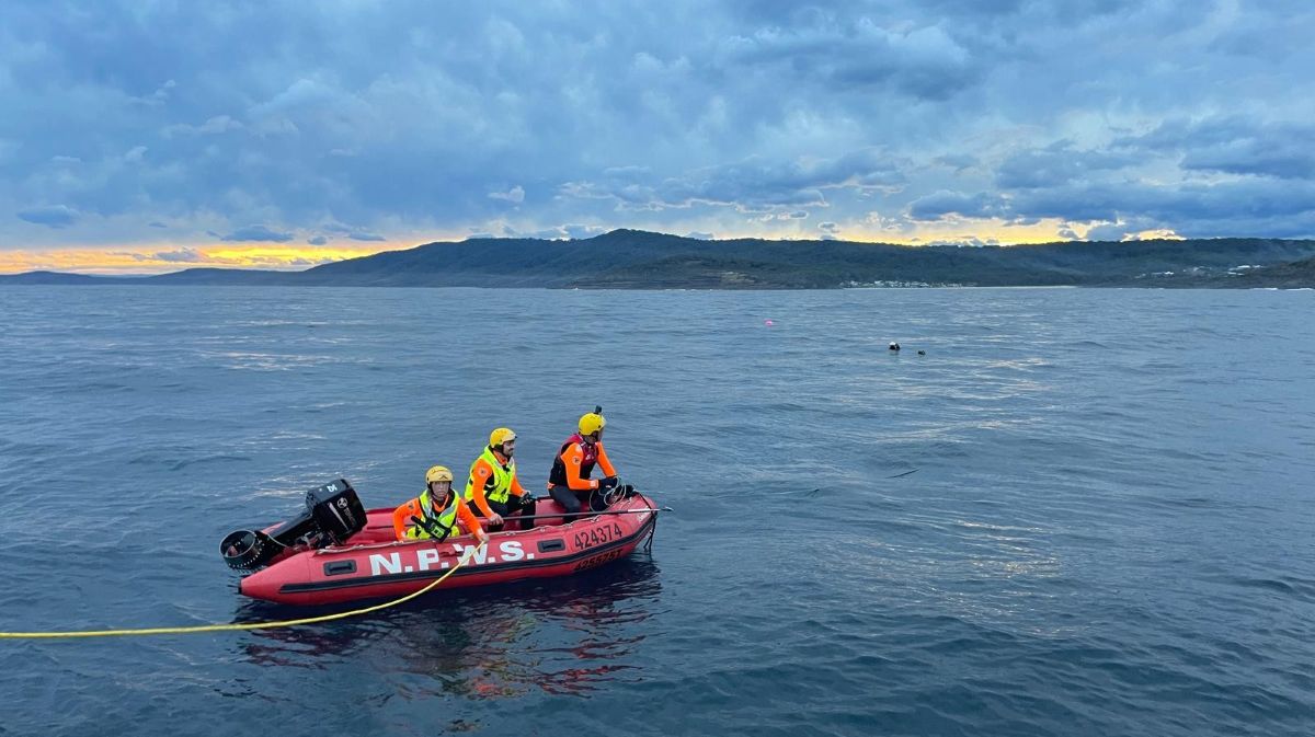 Humpback whale successfully freed from entanglement off NSW South Coast ...